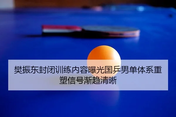 樊振东封闭训练内容曝光国乒男单体系重塑信号渐趋清晰 - 九游